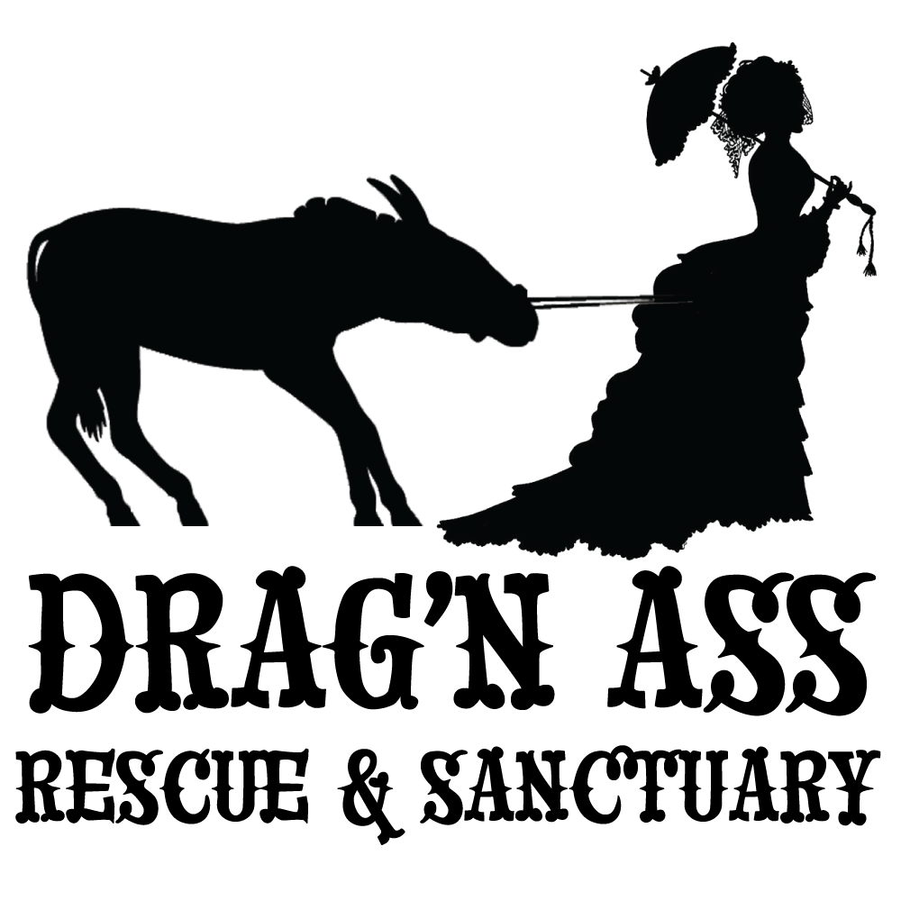 Home - DRAG'N ASS RESCUE & SANCTUARY - HELP US SAVE DONKEYS, MULES AND ...